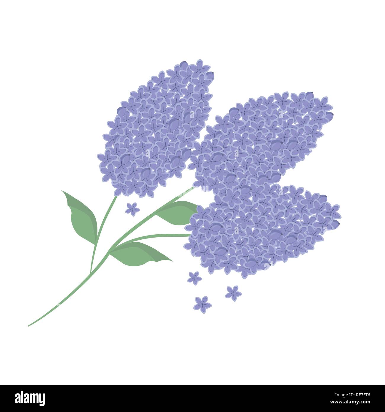 Lilac on white background for graphic and web design, Modern simple ...