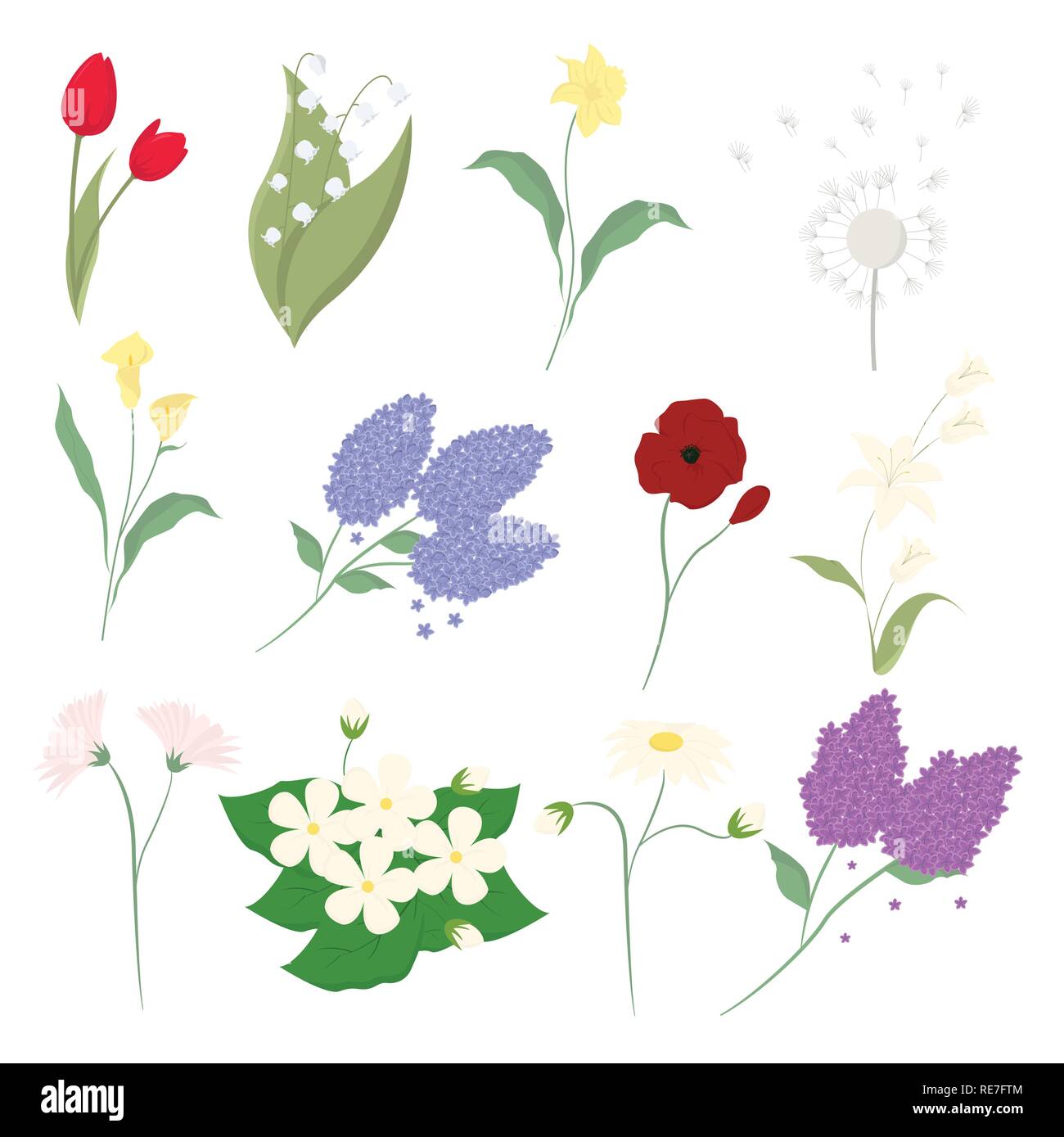 Flower floral set on white background for graphic and web design ...