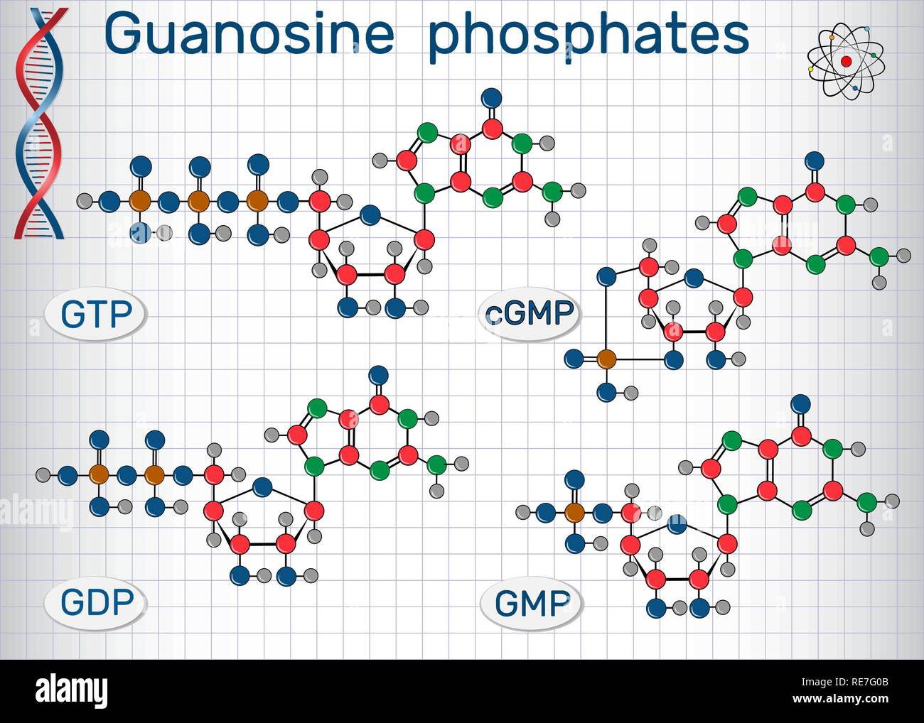 Guanosine Monophosphate