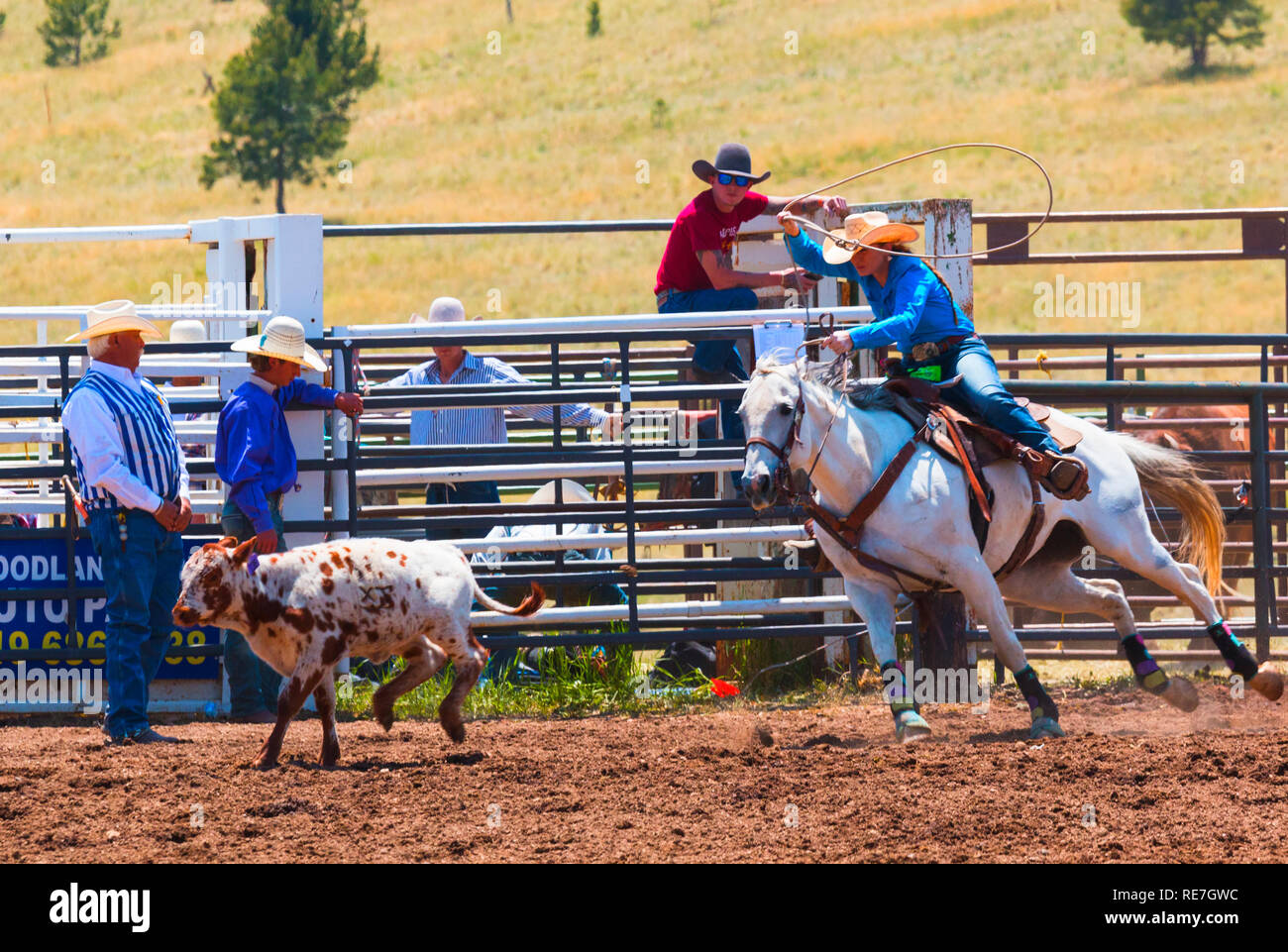 Old rodeo cowboys hi-res stock photography and images - Alamy