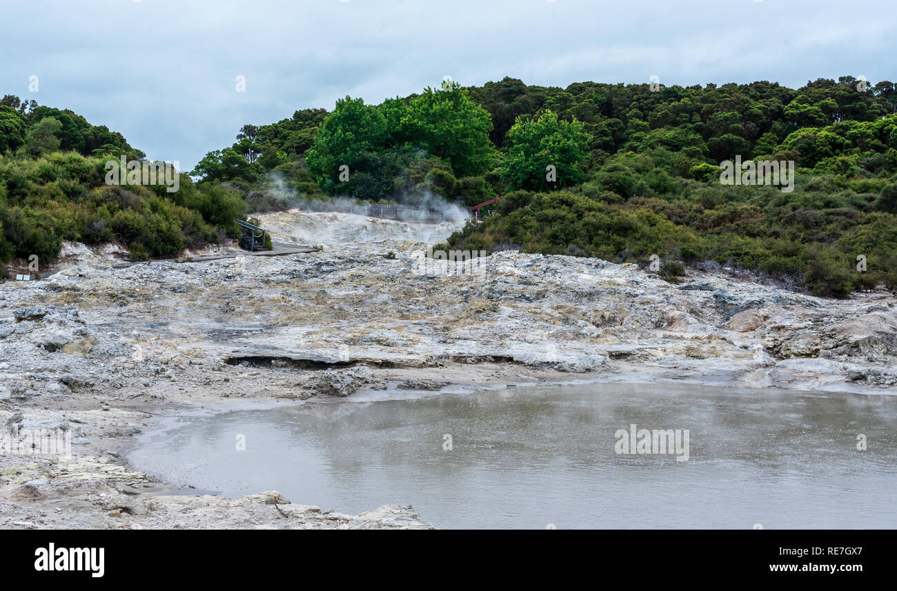 Hells gate geothermal park new zealand hi-res stock photography and ...