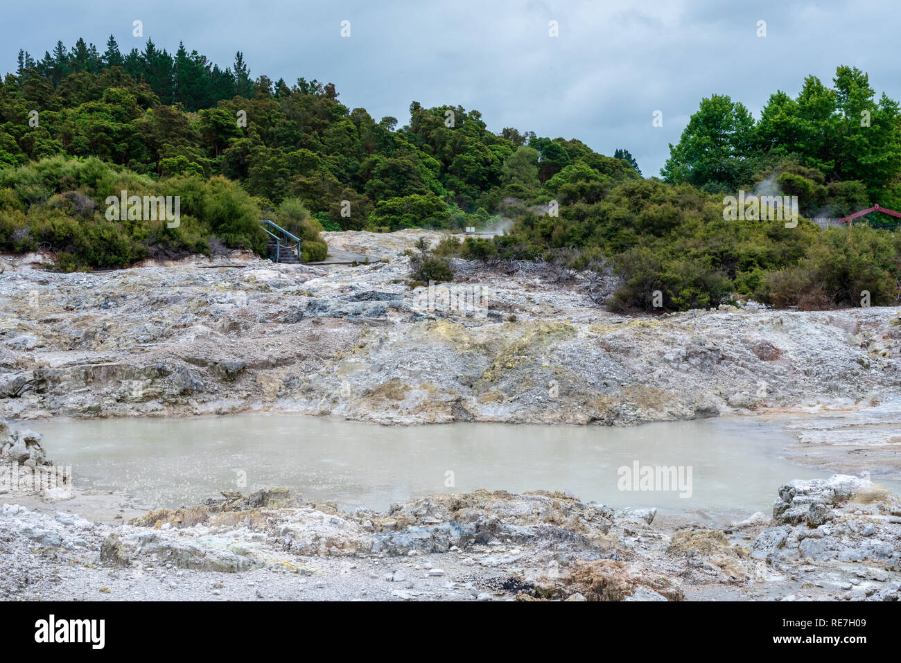 Hells Gate, New Zealand--March 1, 2018. Wisps of steam rise from the ...