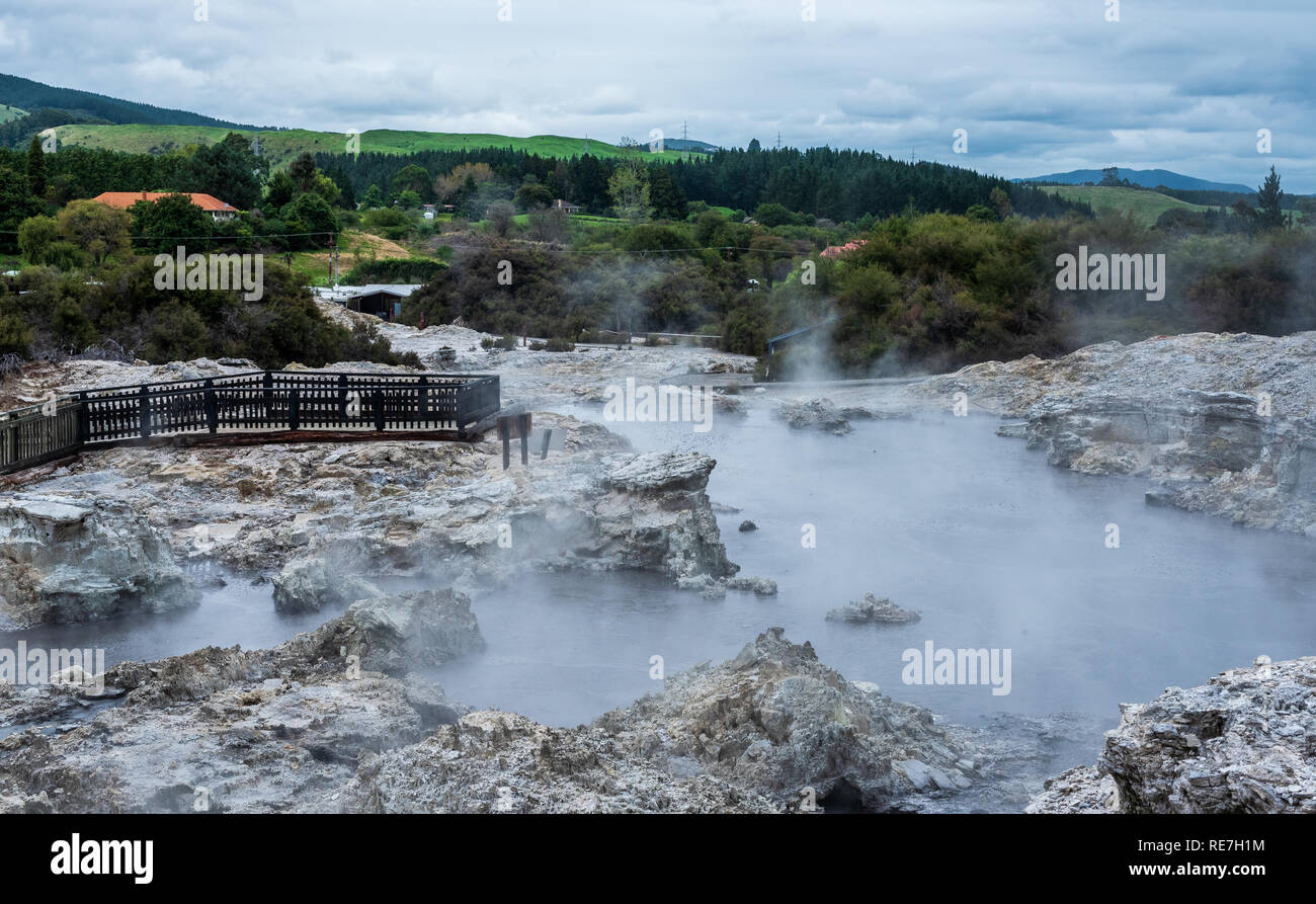 Hells Gate, New Zealand--March 1, 2018. Steam rises from the geothermal ...