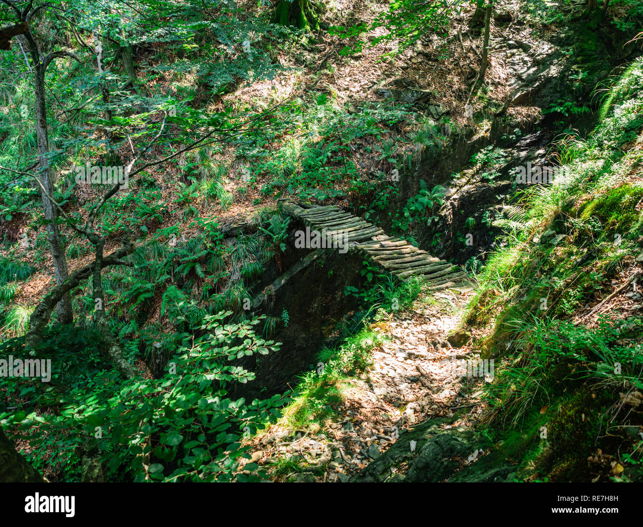 Valgrande national park hi-res stock photography and images - Alamy