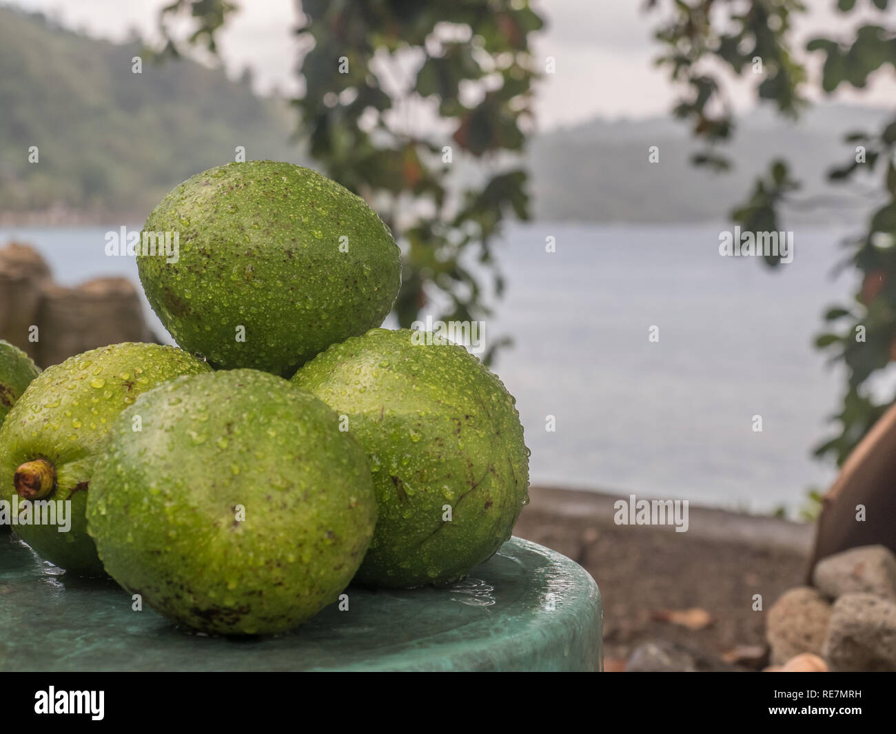 Pear shaped fruit hi-res stock photography and images - Alamy