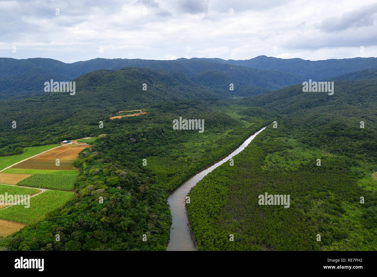 Aerial view over thewild landscape near river at Iriomote island, Japan ...