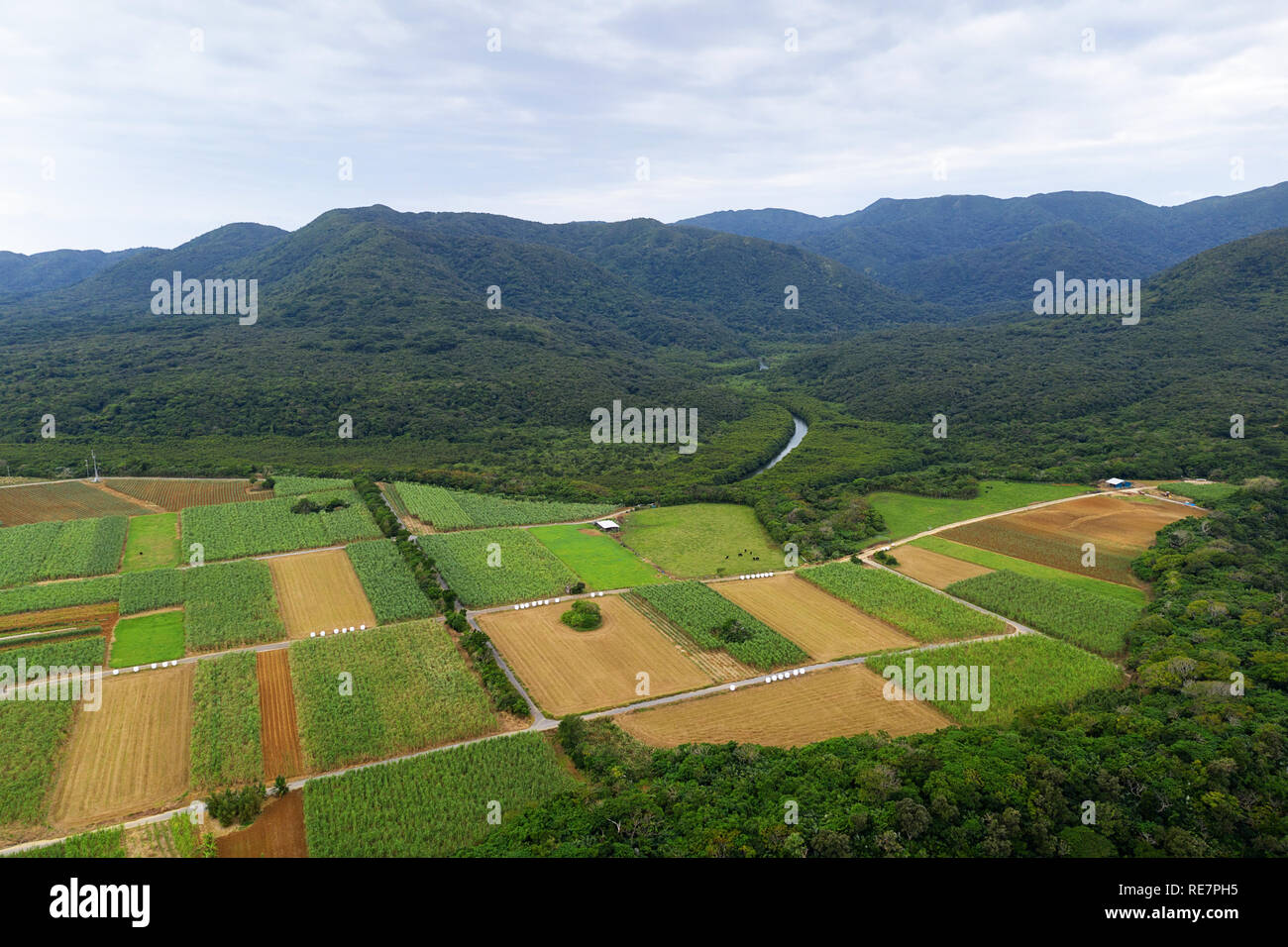 Japan farm aerial hi-res stock photography and images - Alamy
