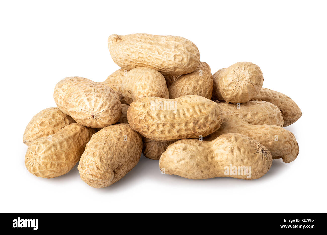 Food in shell hi-res stock photography and images - Alamy