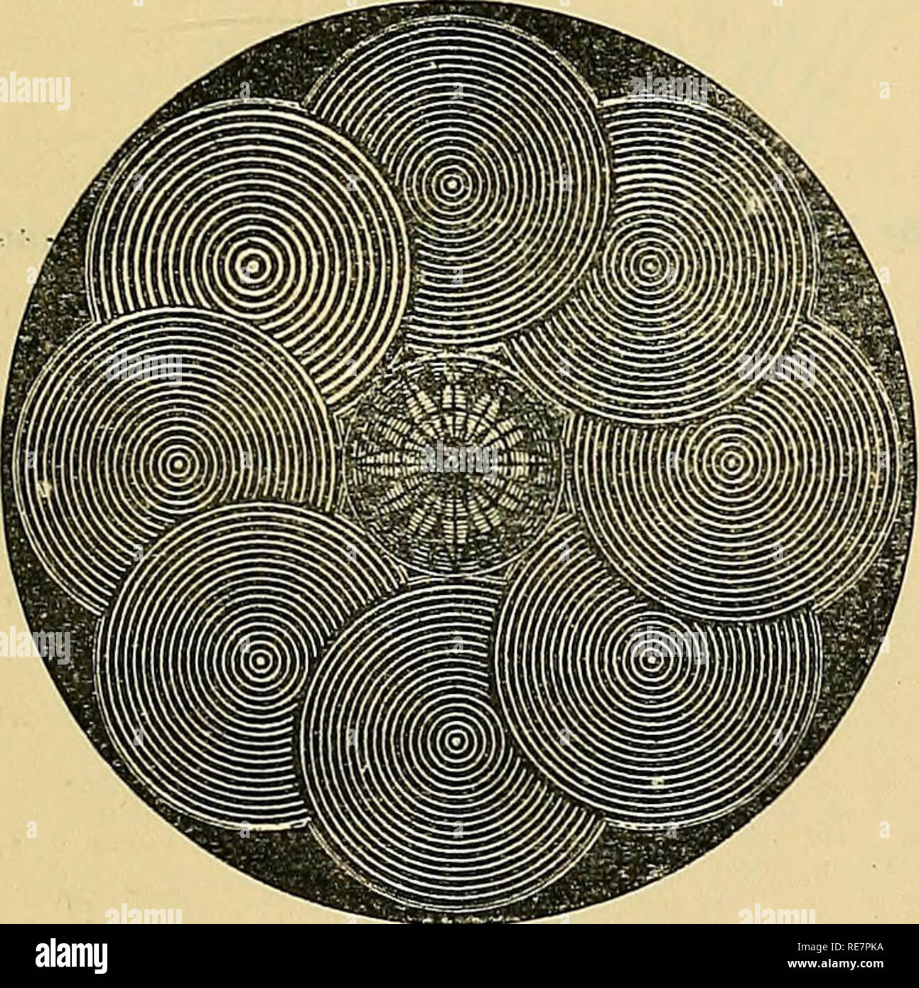 . Cosmos : revista ilustrada de artes y ciencias. Science; Science ...