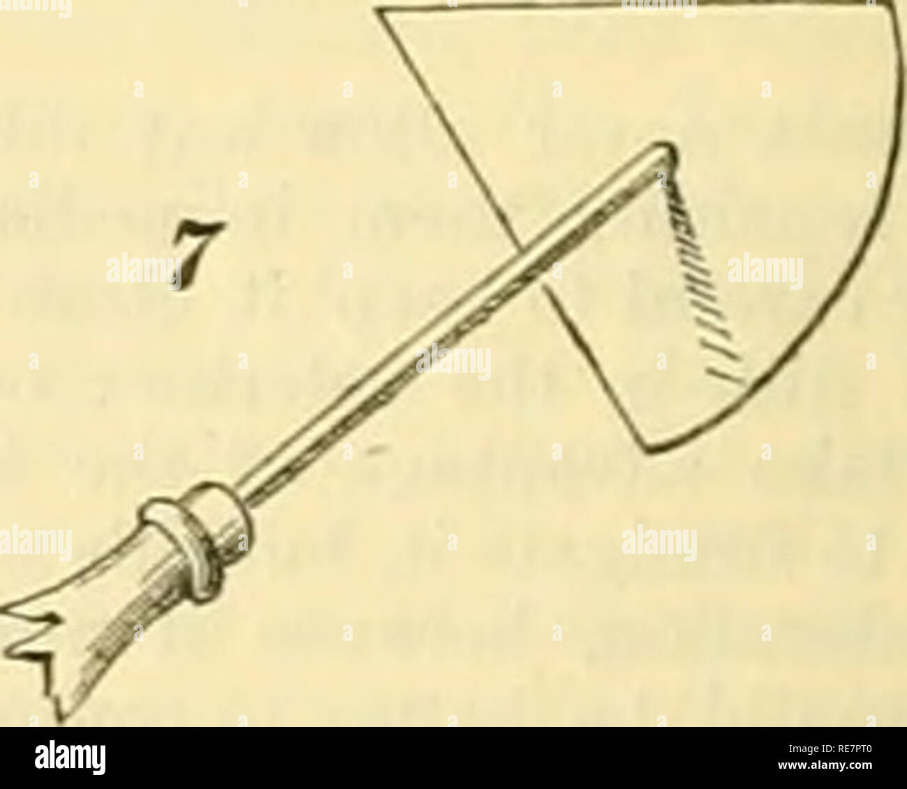 . The Cottage gardener. Gardening; Gardening. 0. The SciurrsG Ivxiaes ...