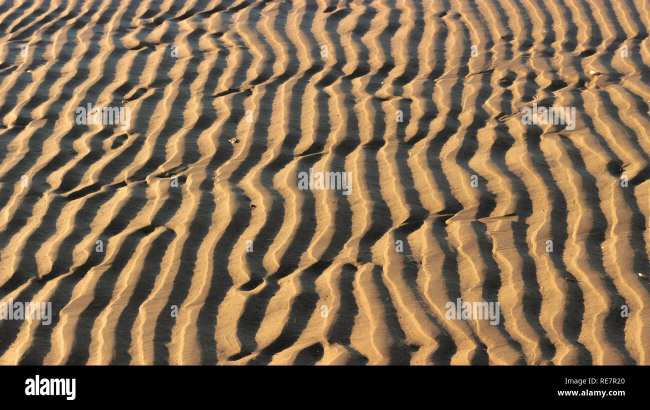 Strong contrast hi-res stock photography and images - Alamy