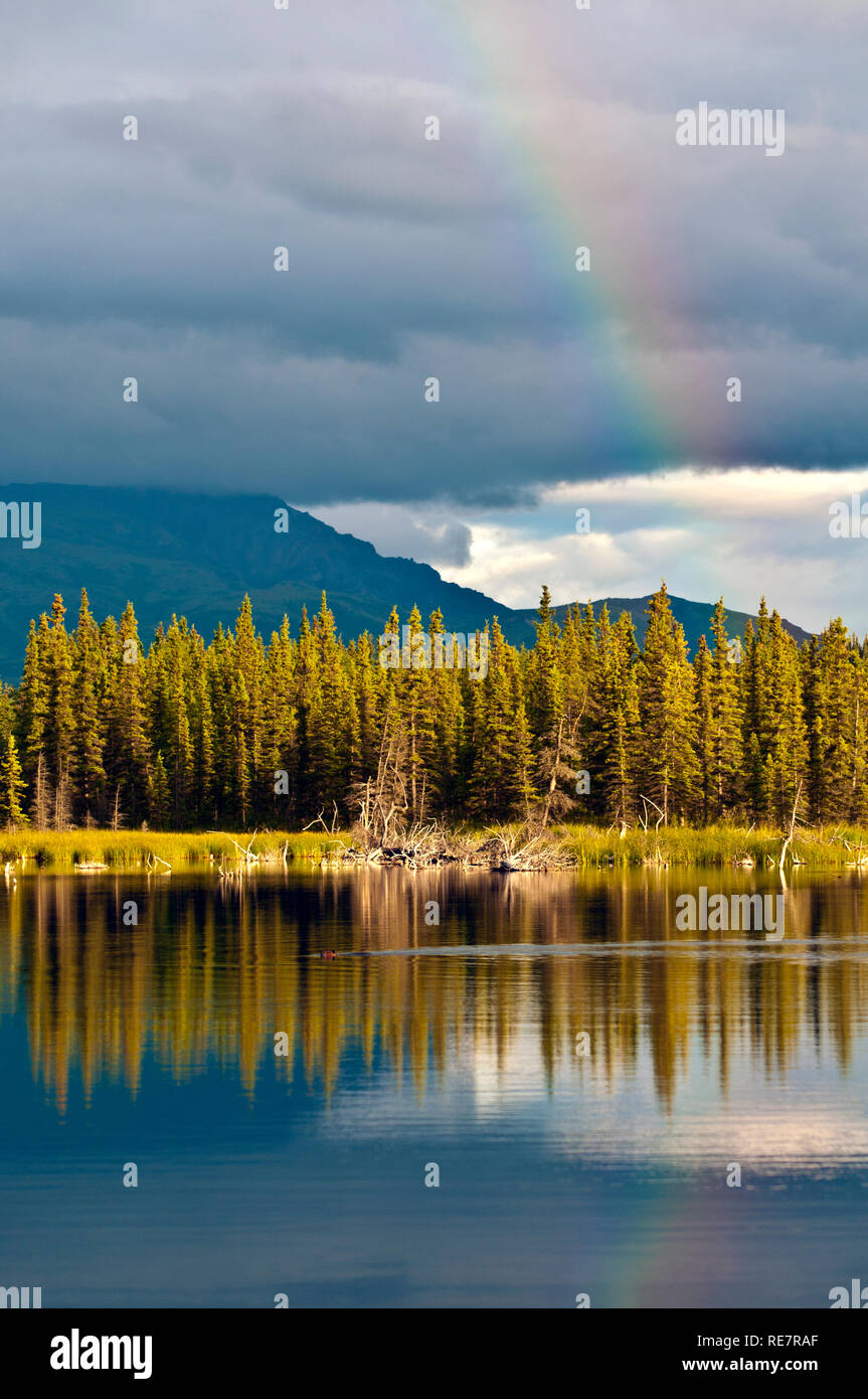 Reflection in a lake and rainbow, Alaska Stock Photo - Alamy