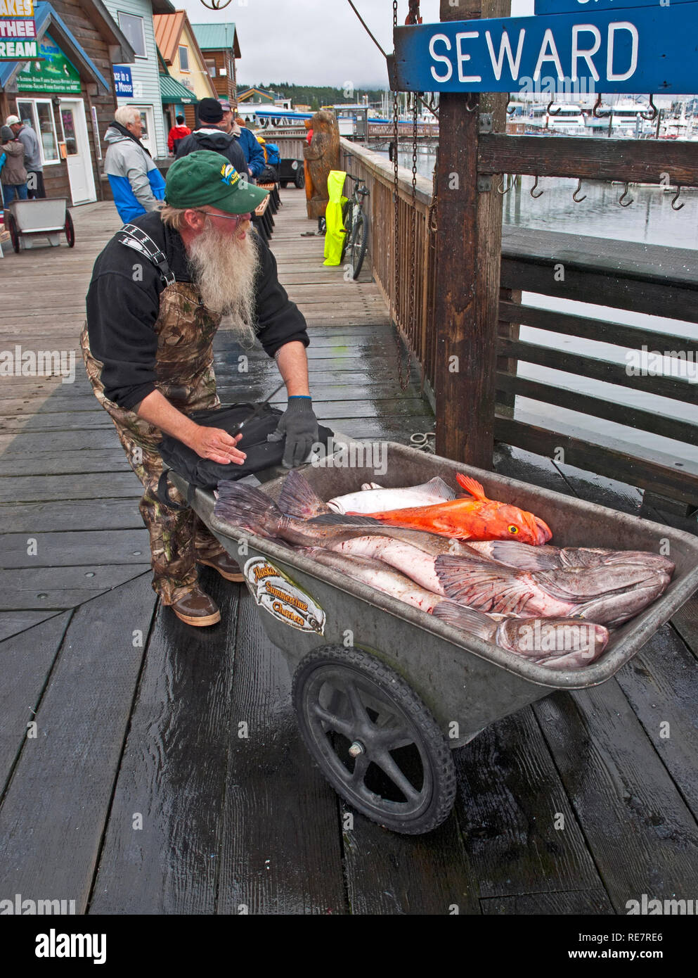 Cleaning fish in port hi-res stock photography and images - Alamy