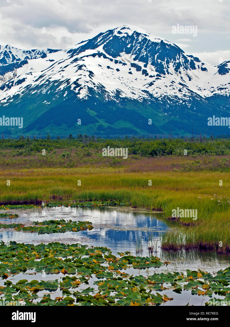 Alaska mountains snow peaks river hi-res stock photography and images ...