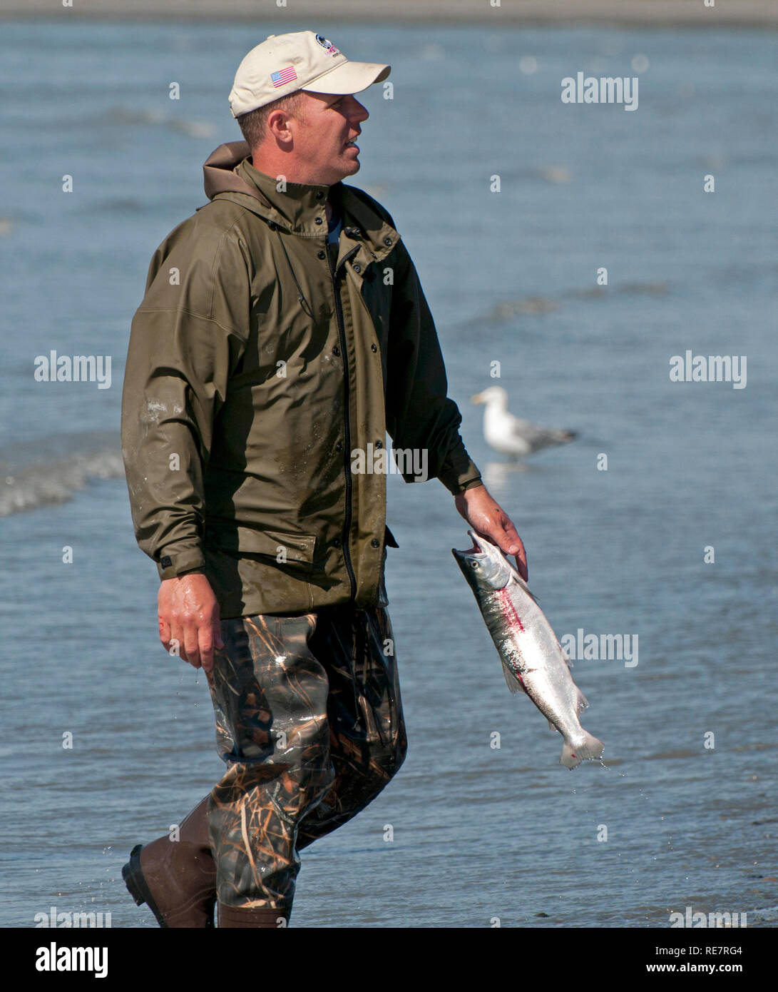 Alaska, salmon, vertical hi-res stock photography and images - Alamy