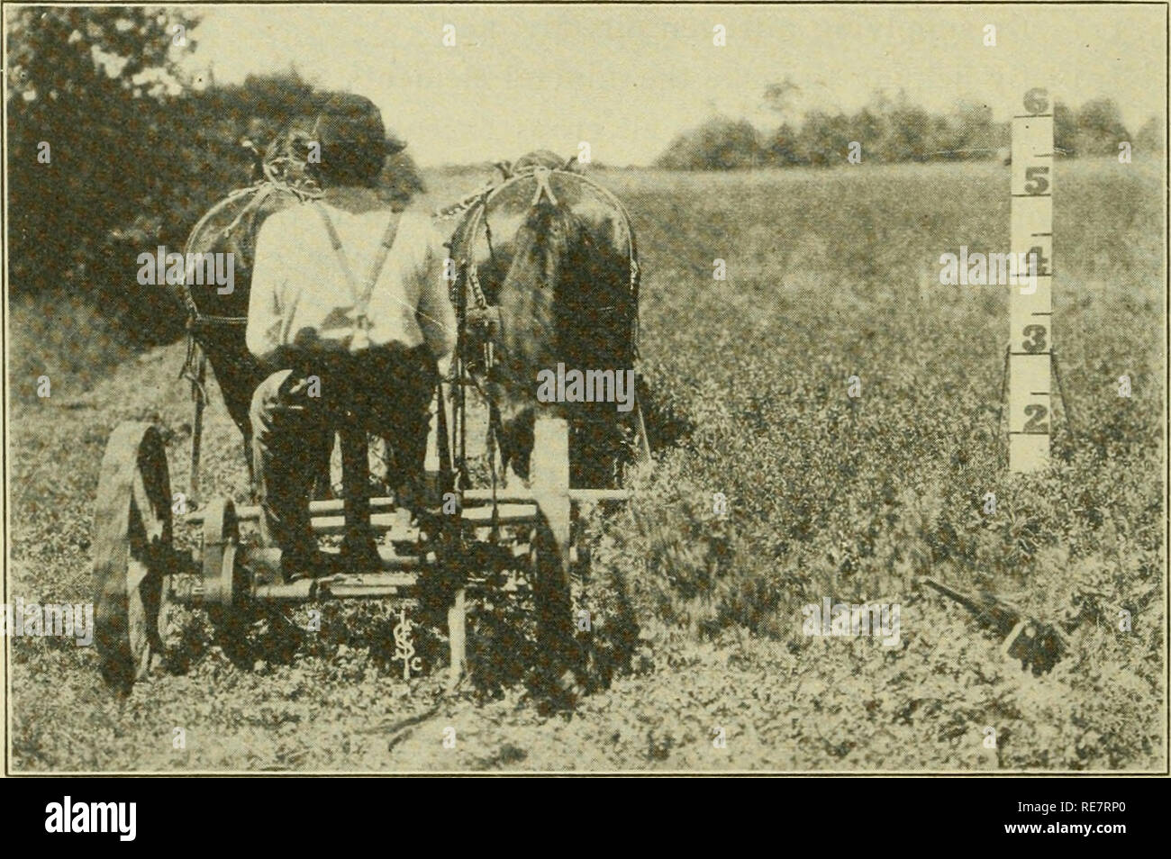 Continuous cropping hi-res stock photography and images - Alamy