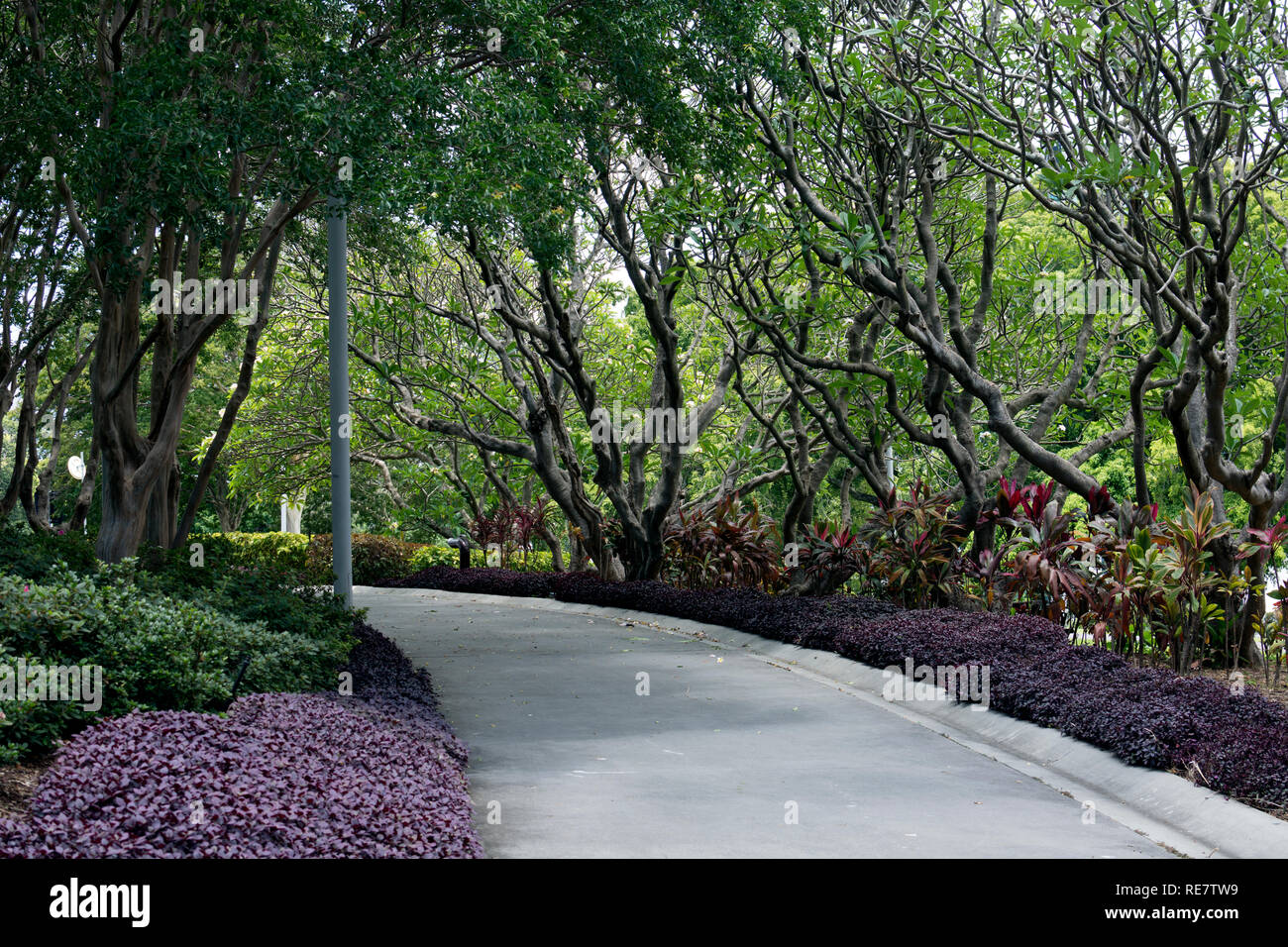 Roma street gardens hi-res stock photography and images - Alamy