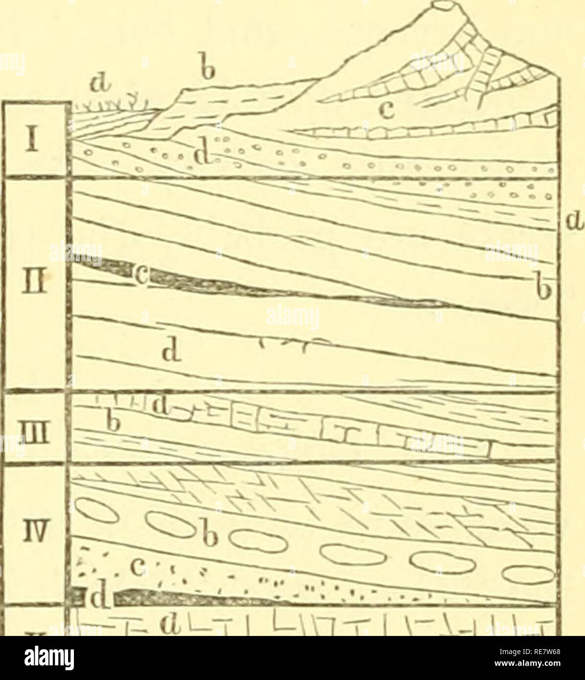 Neozoic hi-res stock photography and images - Alamy