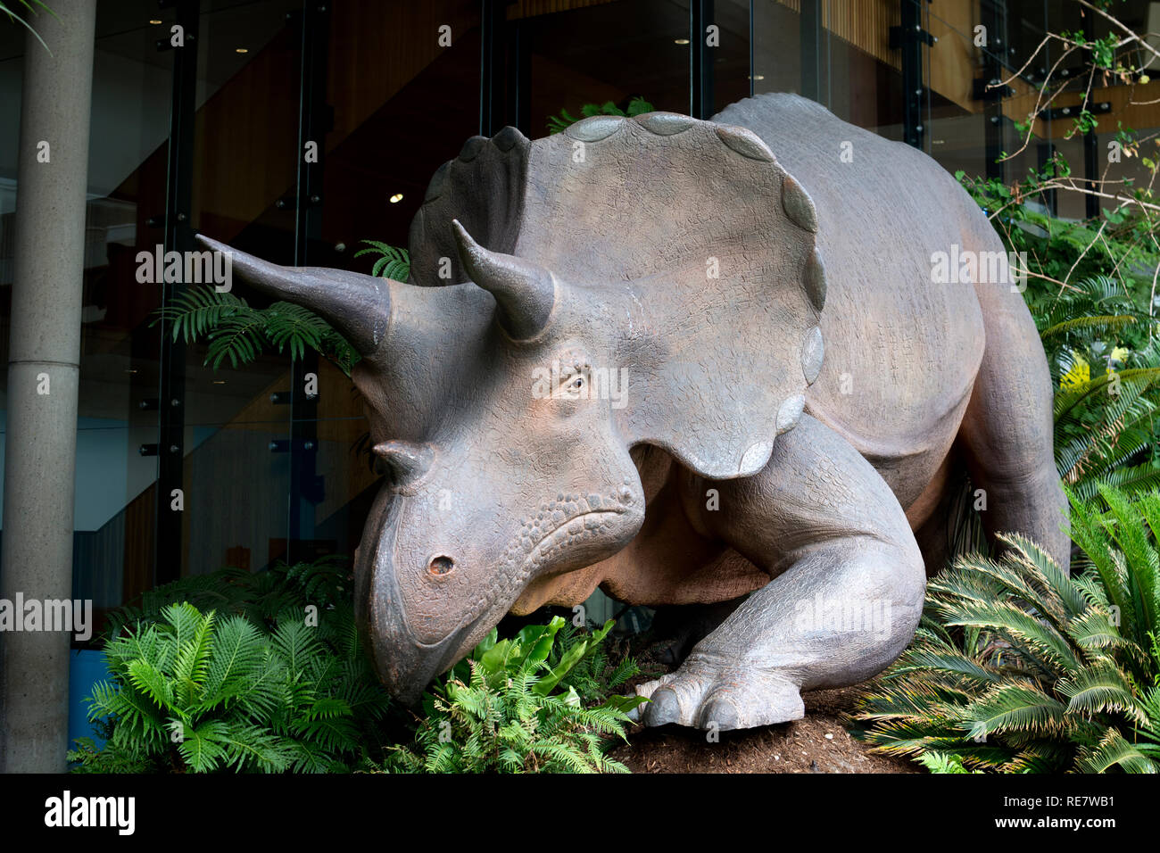 Dinosaurs model hi-res stock photography and images - Alamy