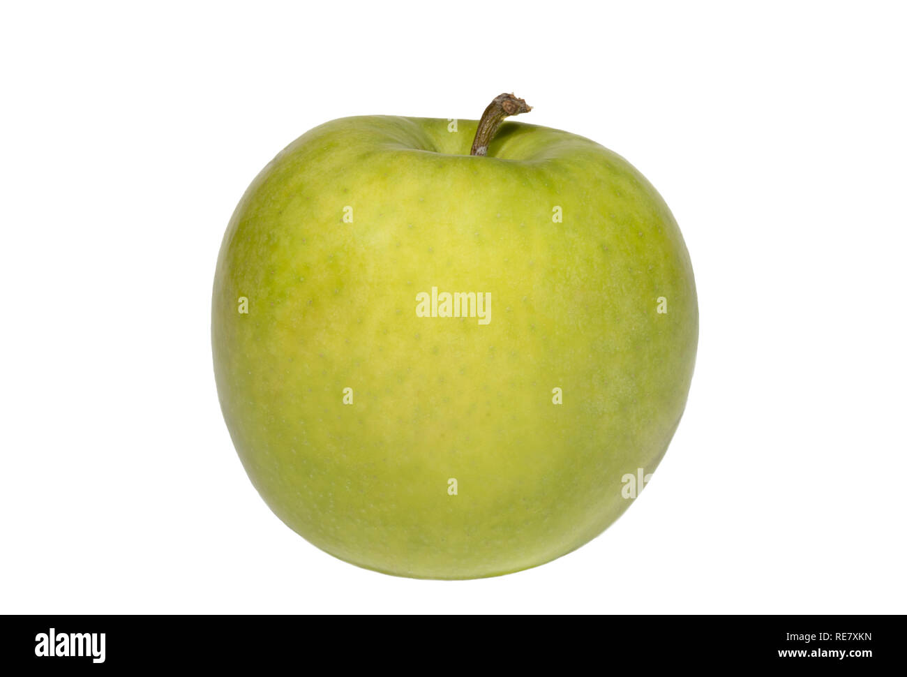 image of one big green apple on white background Stock Photo - Alamy