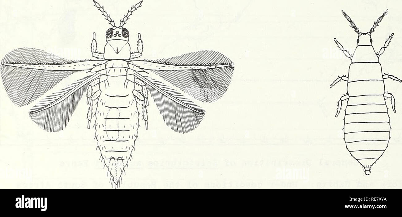 . Cooperative economic insect report. Insect pests Control United ...