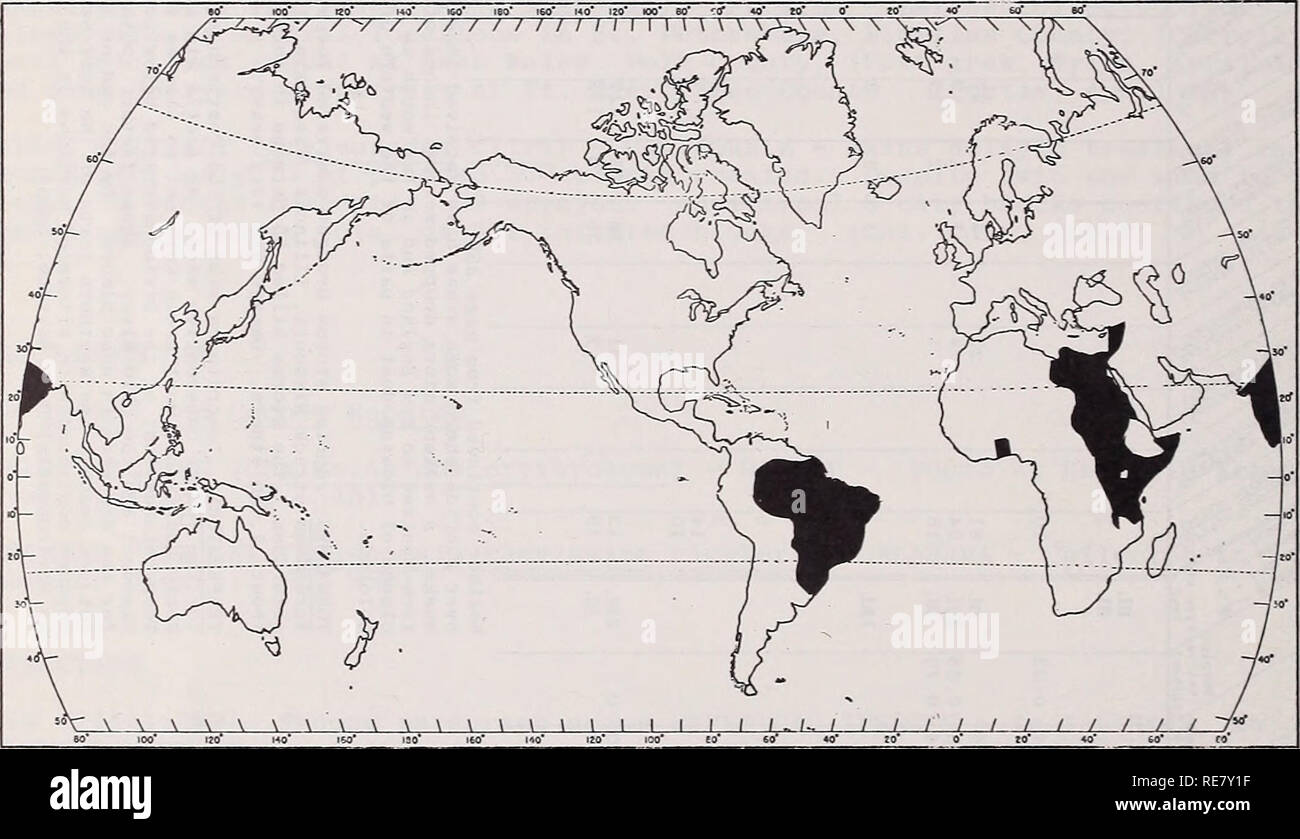 Retithrips hi-res stock photography and images - Alamy