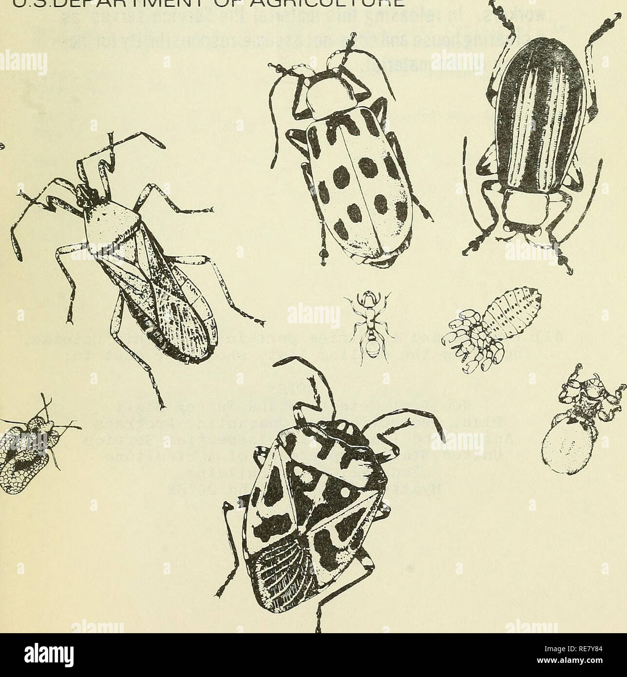 . Cooperative economic insect report. Beneficial insects; Insect pests ...