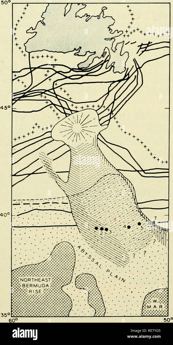 . The Earth beneath the sea : History. Ocean bottom; Marine geophysics ...
