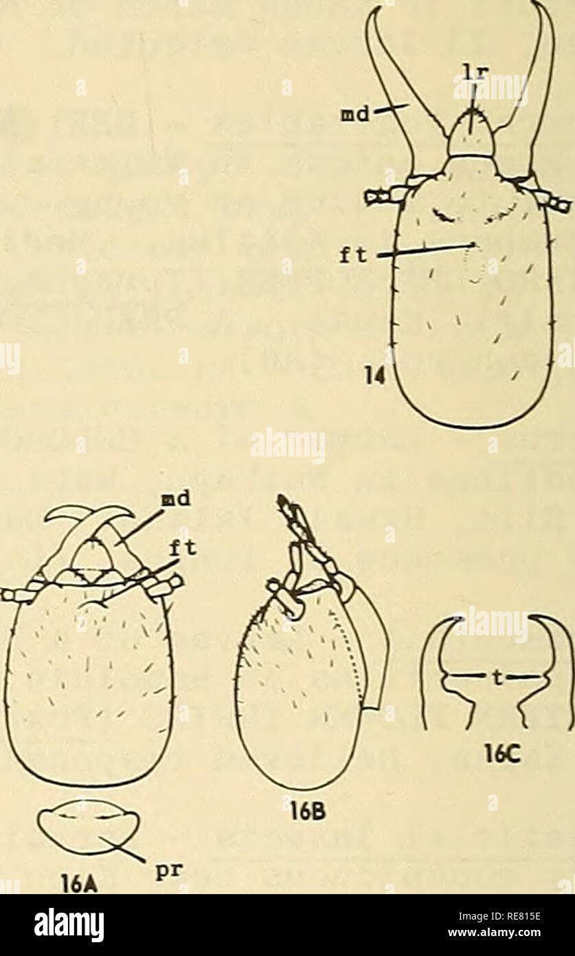 . Cooperative economic insect report. Beneficial insects; Insect pests ...