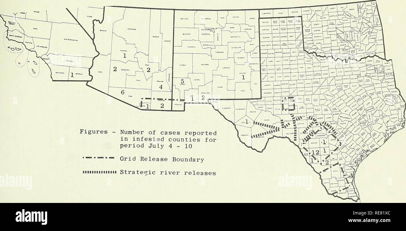 Fied insects hi-res stock photography and images - Alamy