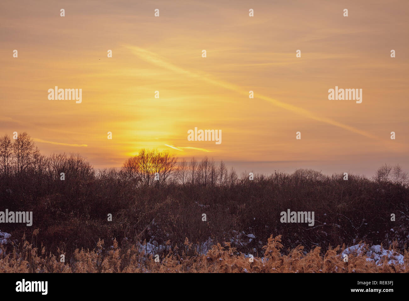 Rural winter landscape. Snowy field at sunset light Stock Photo - Alamy
