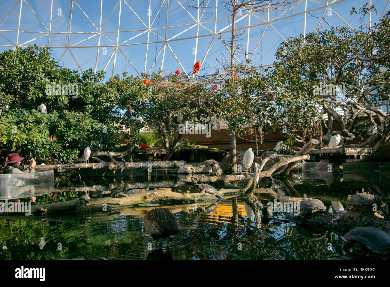 Spanish national museum science technology hi-res stock photography and ...
