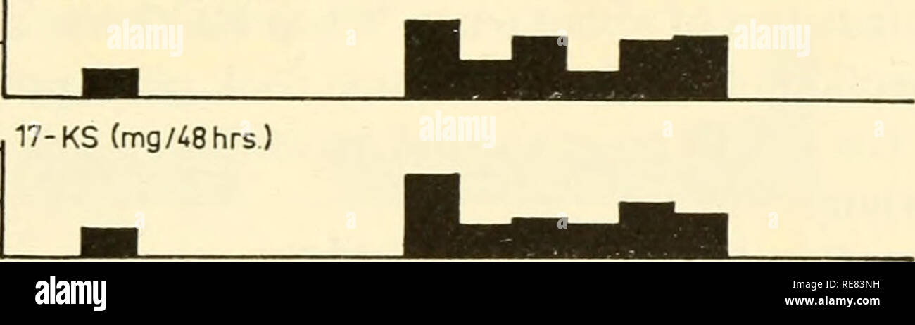 17 ohcs hi-res stock photography and images - Alamy