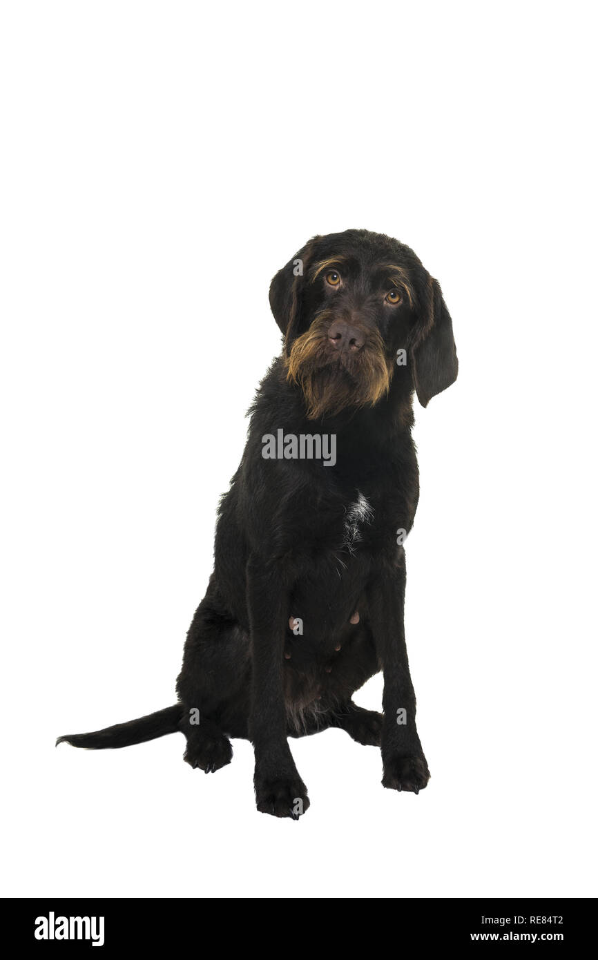 Female sitting pointing hi-res stock photography and images - Alamy