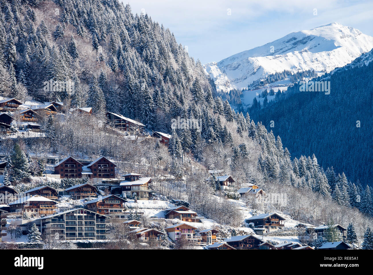Chalet forest france french hillside hi-res stock photography and ...
