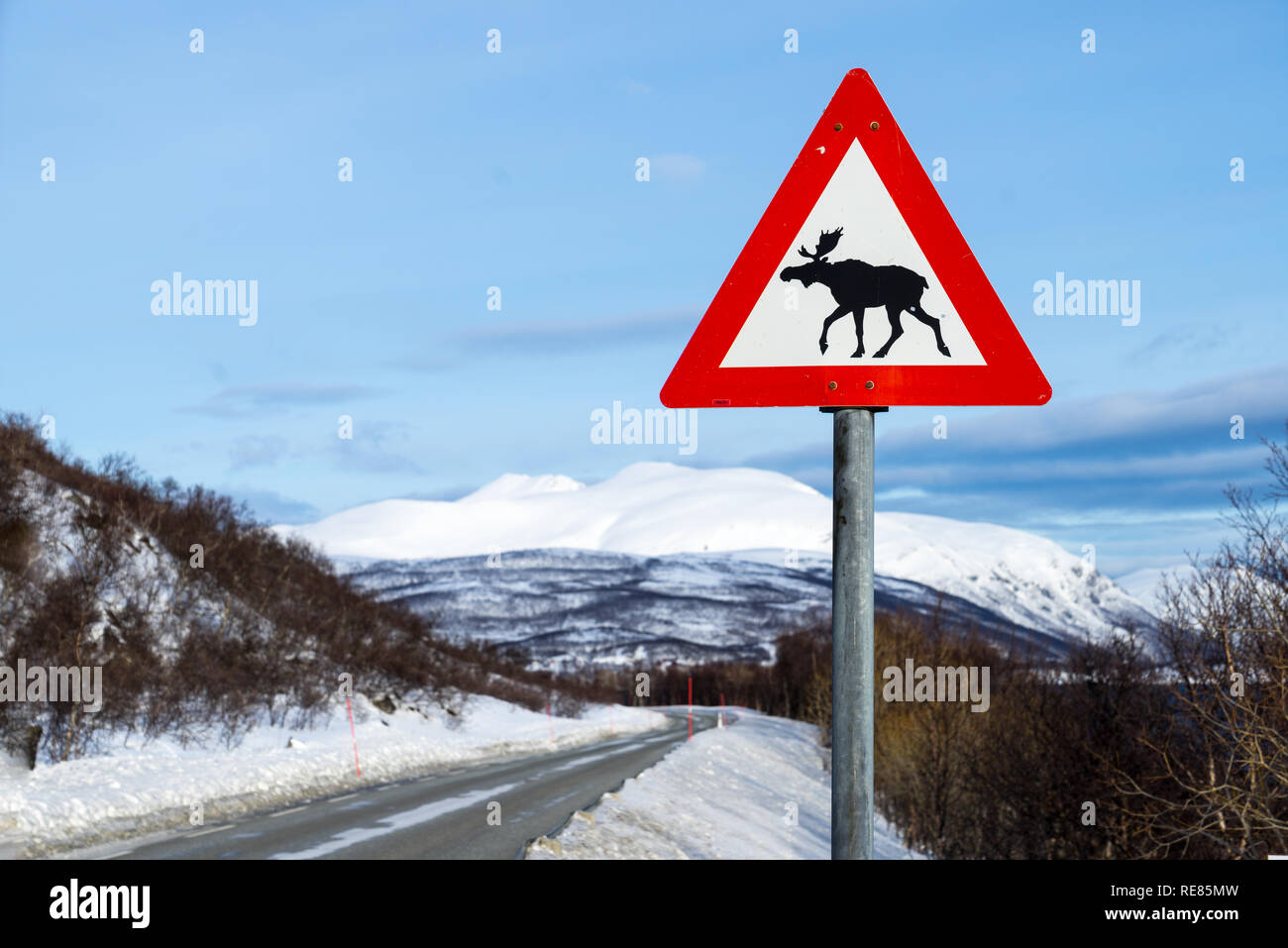 Traffic warning sign with moose near a road in arctic Norway ...