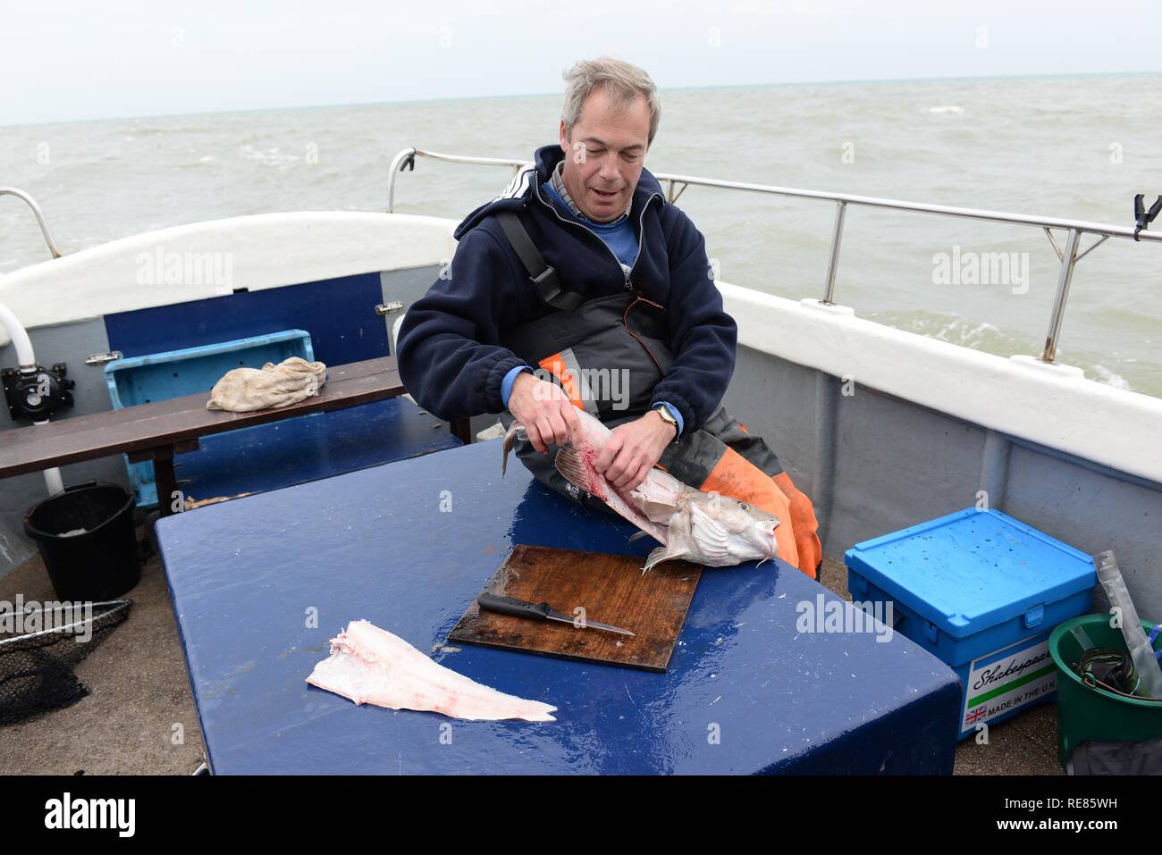 Nigel farage fish hi-res stock photography and images - Alamy