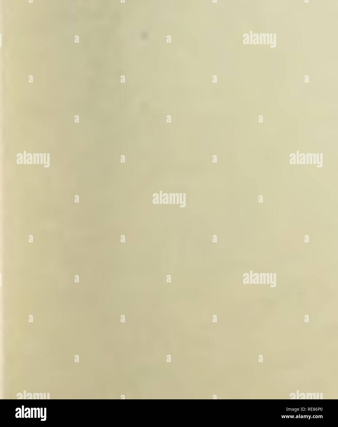 Gonangium hi-res stock photography and images - Alamy