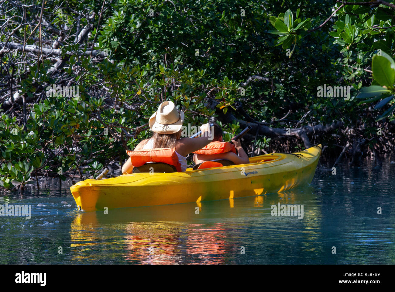 Grand Bahama, Bahamas. Exploring the Lucayan National Park in kayak ...