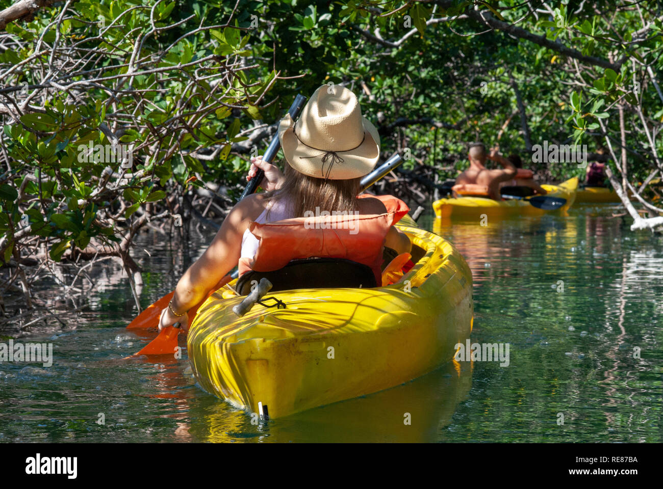 Grand Bahama, Bahamas. Exploring the Lucayan National Park in kayak ...