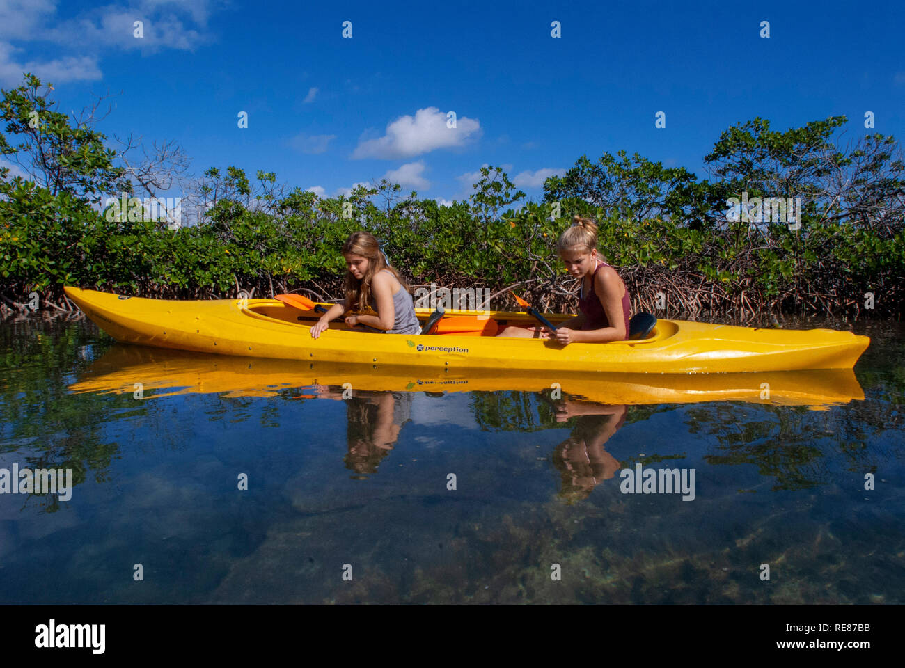 Grand Bahama, Bahamas. Exploring the Lucayan National Park in kayak ...