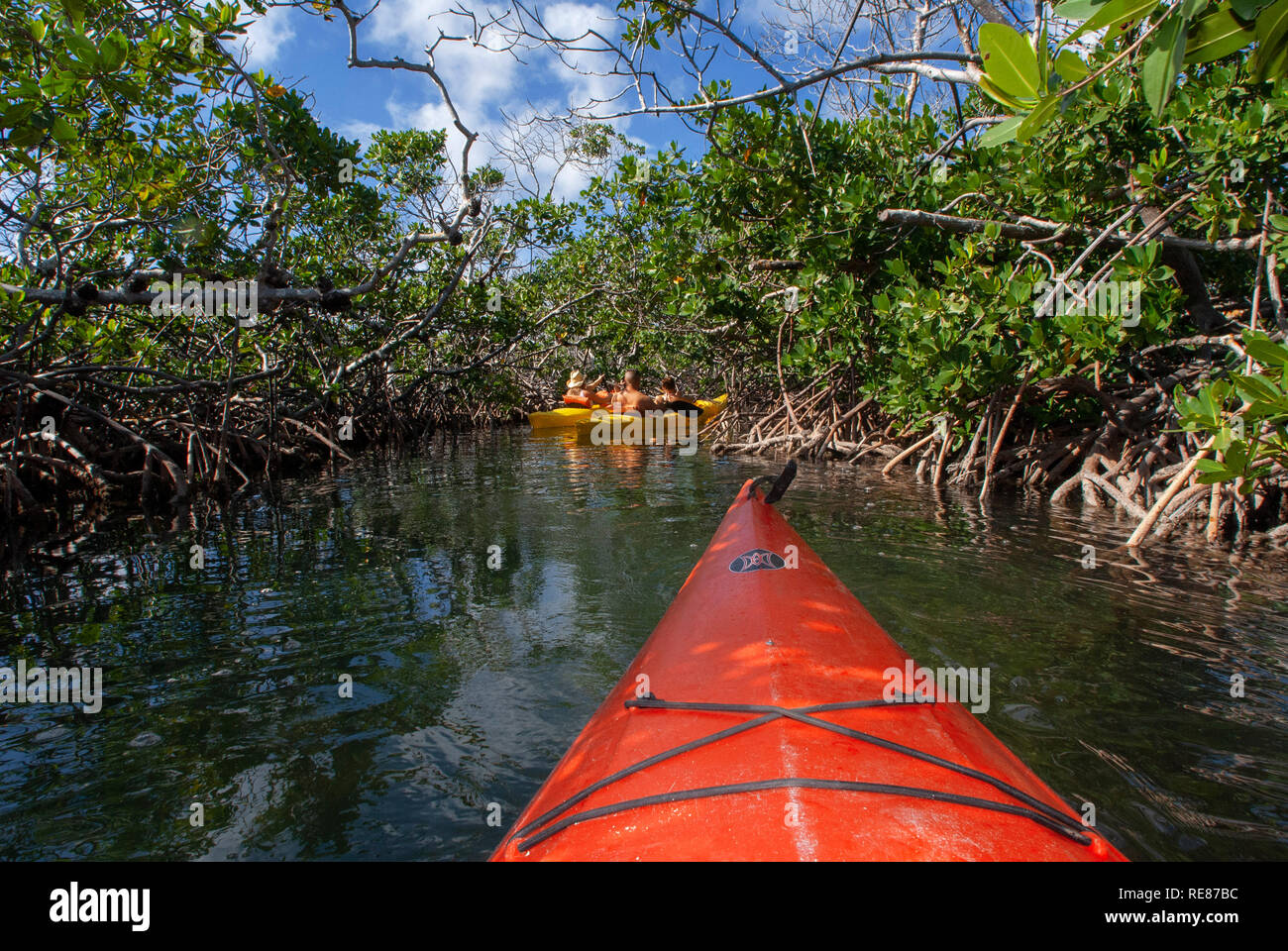 Grand Bahama, Bahamas. Exploring the Lucayan National Park in kayak ...