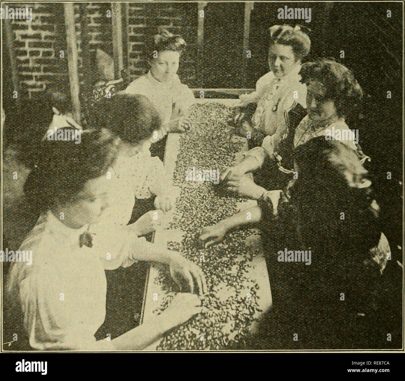 Methods of seed germination hi-res stock photography and images - Alamy