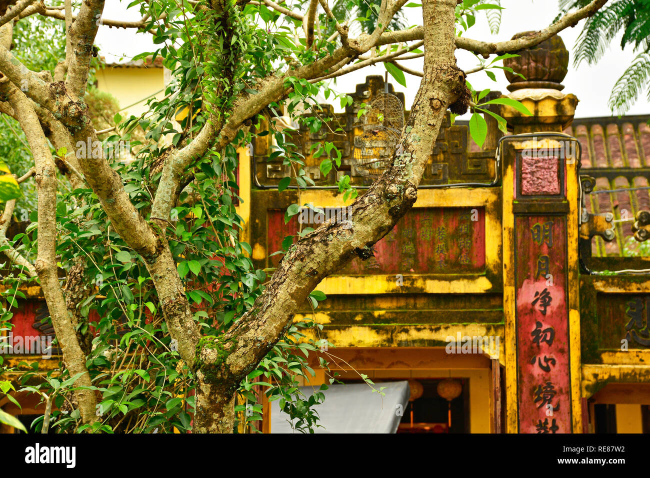 The grounds of the Quan Am Pagoda in the historic UNESCO listed central ...