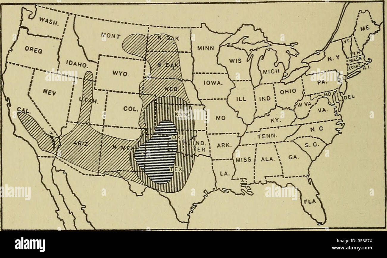 . The corn crops: a discussion of maize, kafirs, and sorghums as grown ...