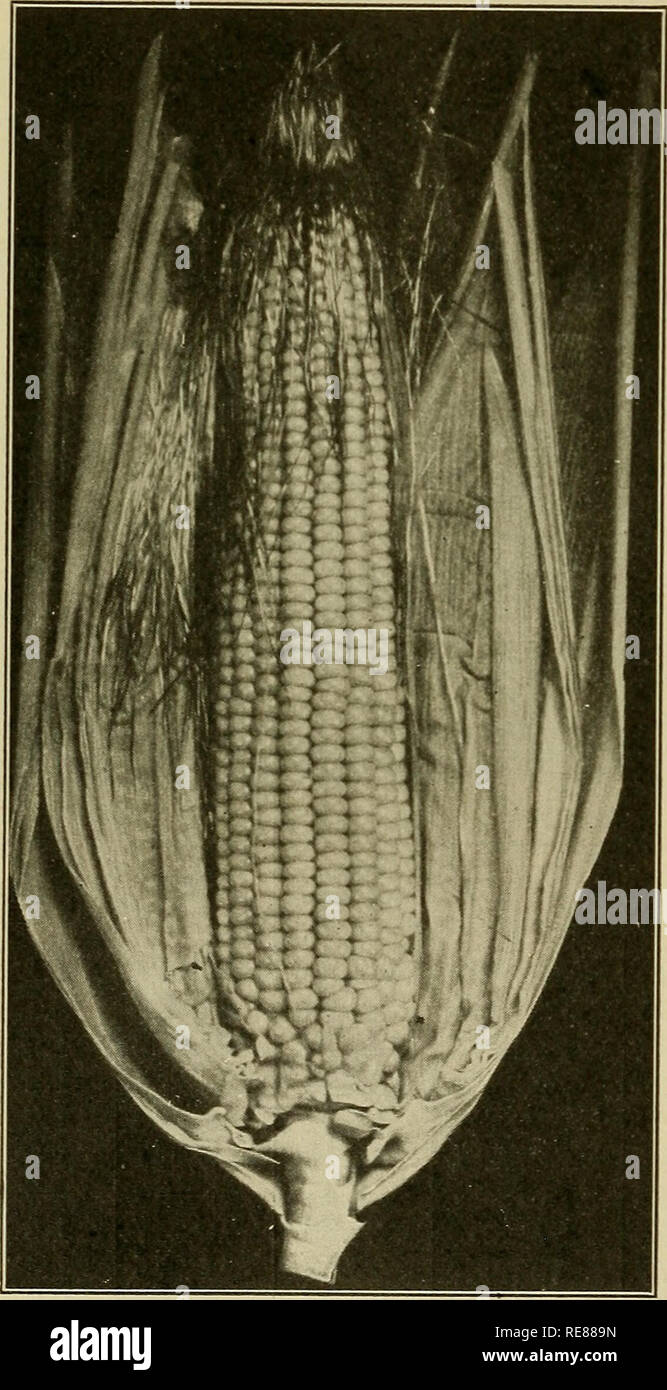 Data centers united states hi-res stock photography and images - Alamy