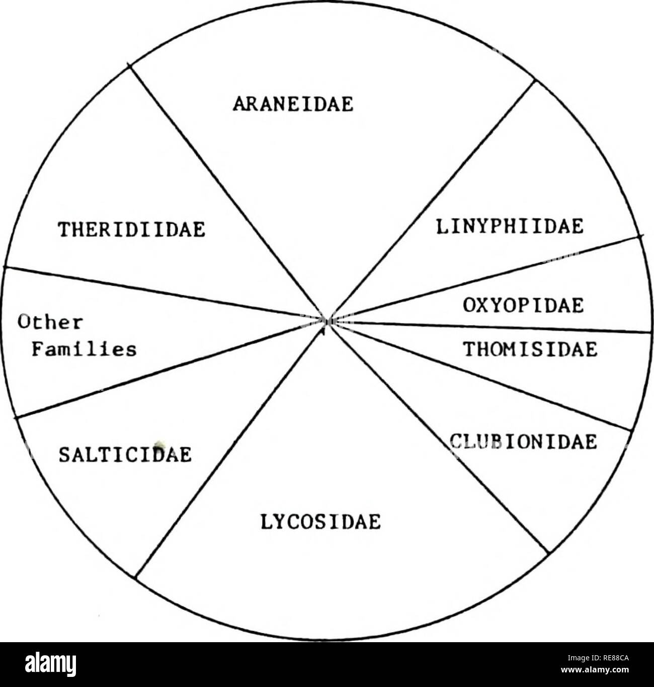 . Corn field spider community: composition, structure, development and ...