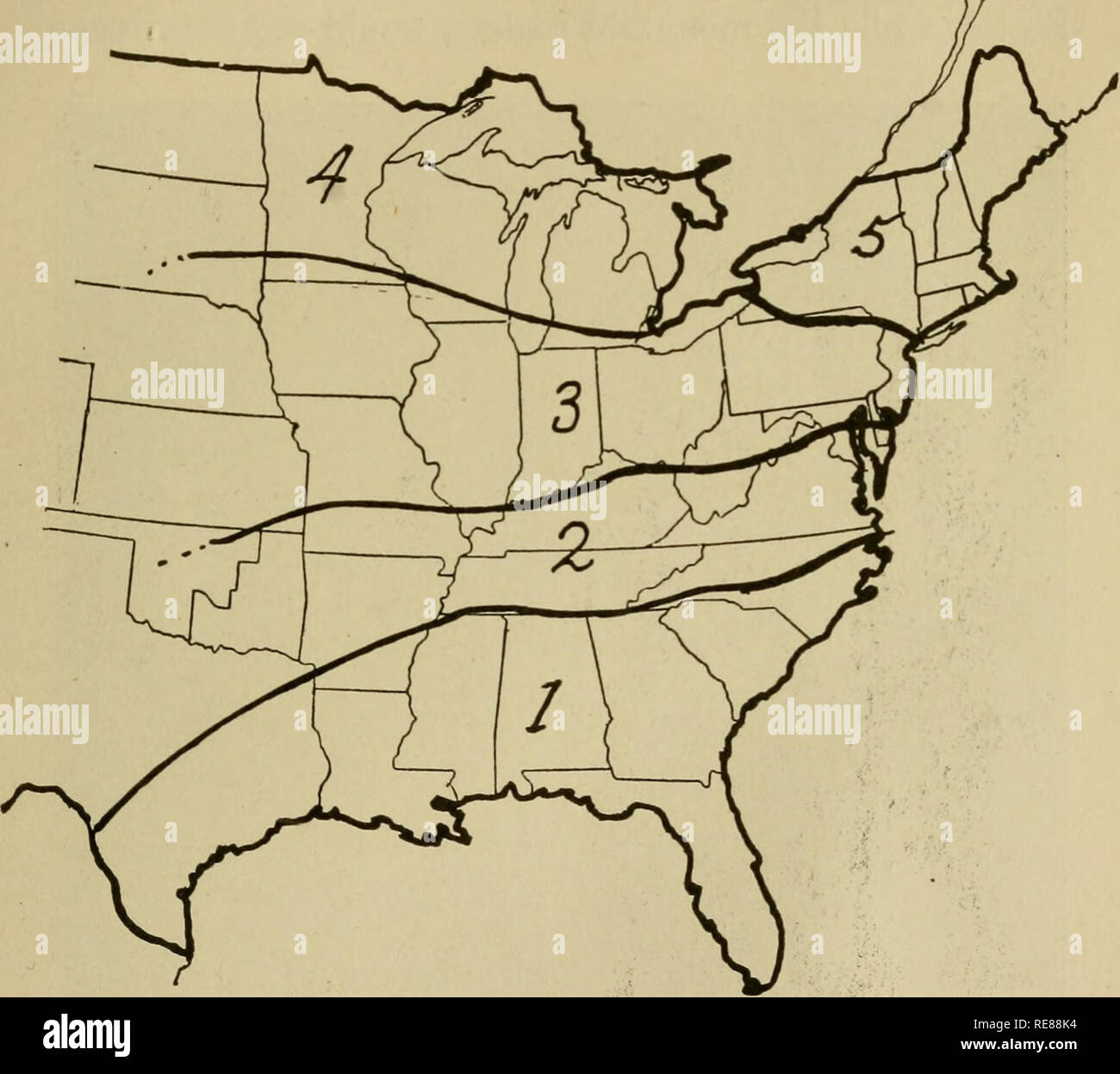 Different types of maize hi-res stock photography and images - Alamy