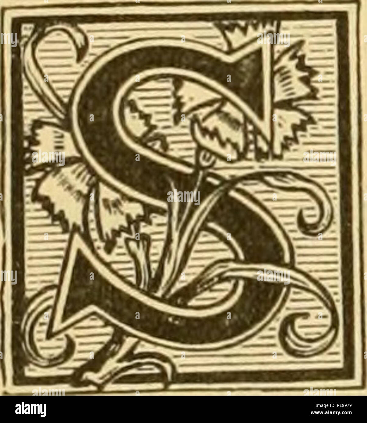 Abyssinian empire hi-res stock photography and images - Alamy