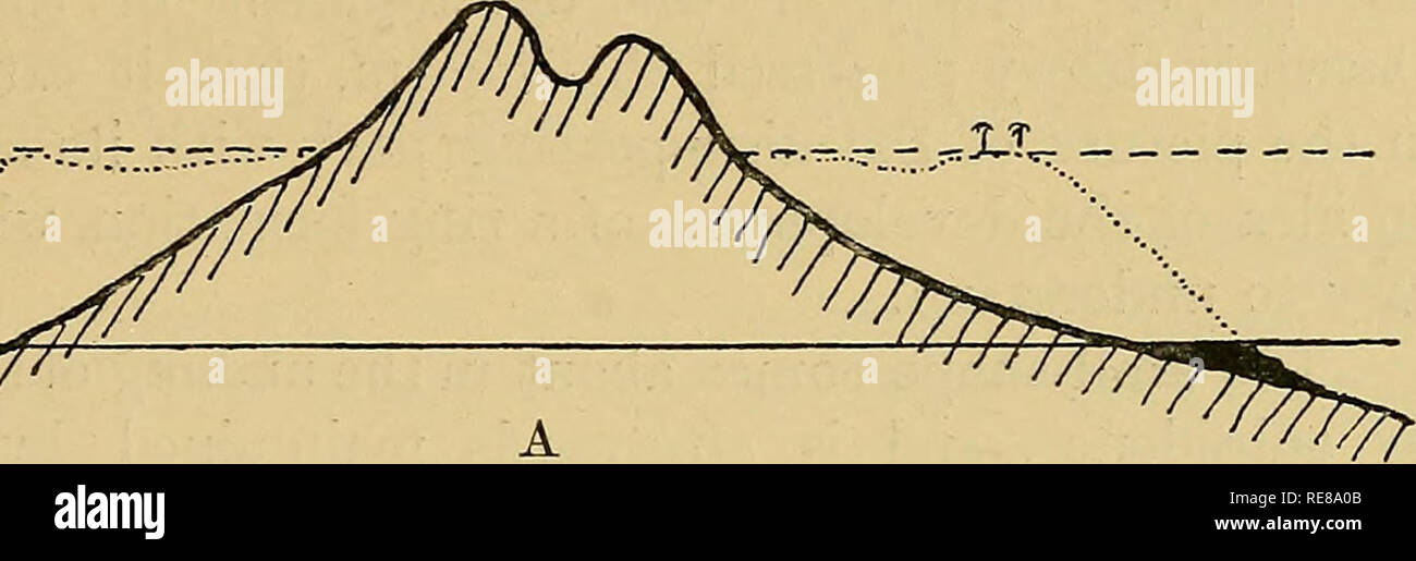 atoll formation process